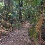 Conondale Range Great Walk: Booloumba Creek - Wongai Camp, Queensland ...