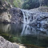 Conondale Range Great Walk: Booloumba Creek - Wongai Camp, Queensland ...