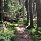 Red Spruce Knob, West Virginia - 234 Reviews, Map | AllTrails