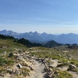 Muir Snowfield Ski Tour, Washington - 1,292 Reviews, Map | AllTrails