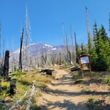 Mount Adams South Climb Trail, Washington - 1,736 Reviews, Map | AllTrails