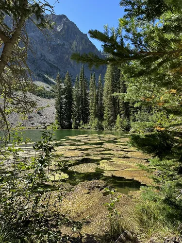 Best Camping Trails in Strawberry Mountain Wilderness | AllTrails