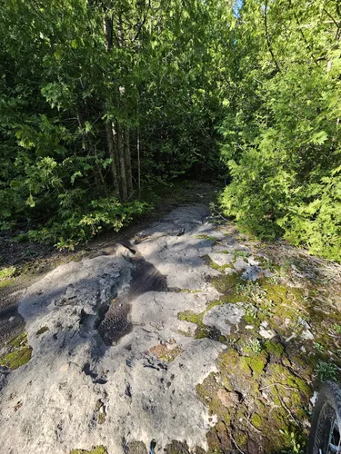 Le migliori escursioni e sentieri in Bruce Peninsula Mountain Bike ...