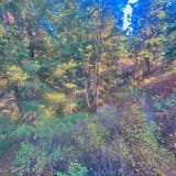 Trail 121: Waterfall Loop, Washington - 944 Reviews, Map | AllTrails