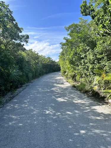 2023 Best Views Trails in Castaway Cay | AllTrails
