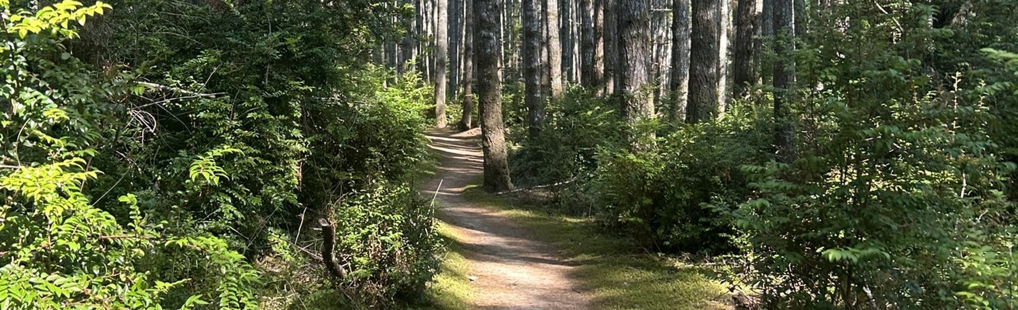 Hope Island Loop, Washington - 30 Reviews, Map | AllTrails