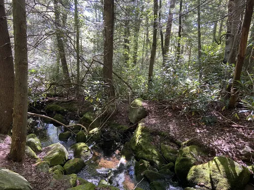 Best Hikes and Trails in Mount Davis Natural Area | AllTrails