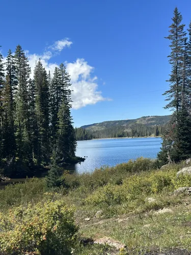 10 Best Snowshoeing Trails in Grand Mesa National Forest | AllTrails