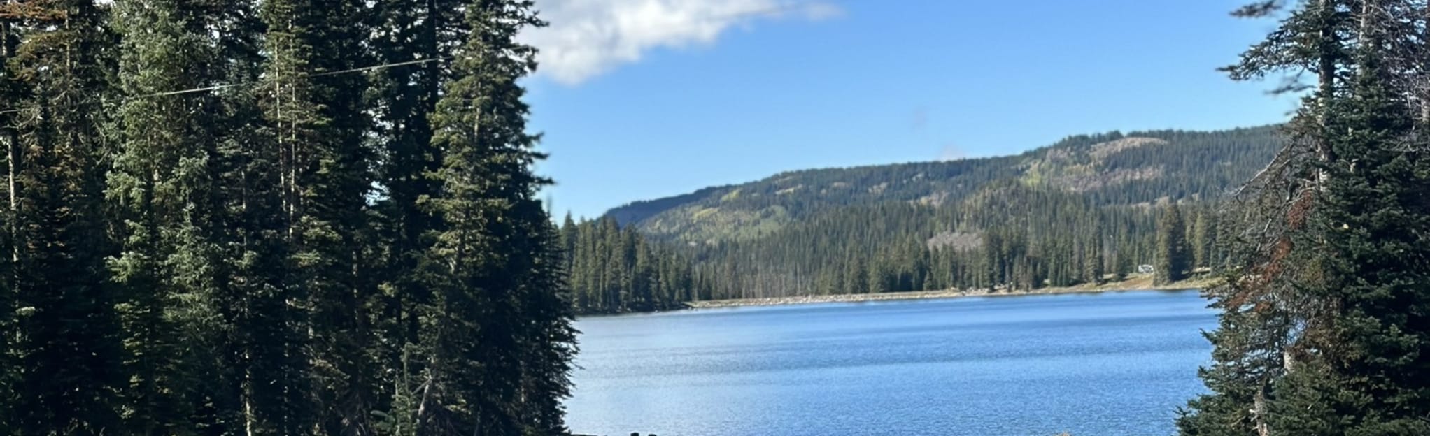 Ward Lake Loop: 19 Reviews, Map - Colorado | AllTrails