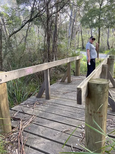 Best Hikes and Trails in Baluk Willam Flora Reserve | AllTrails