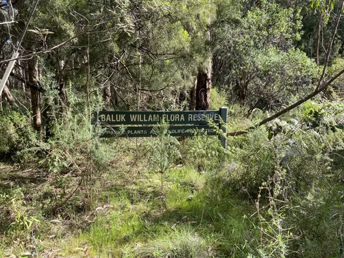 Best Hikes and Trails in Baluk Willam Flora Reserve | AllTrails