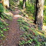 Rooster Rock Trail via East Trailhead, Oregon - 207 Reviews, Map ...