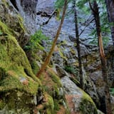 Rooster Rock Trail via East Trailhead, Oregon - 207 Reviews, Map ...