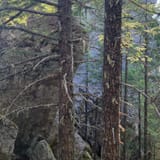 Rooster Rock Trail via East Trailhead, Oregon - 207 Reviews, Map ...