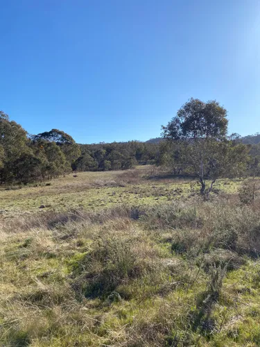 10 Best Hikes and Trails in Mount Ainslie Nature Reserve | AllTrails