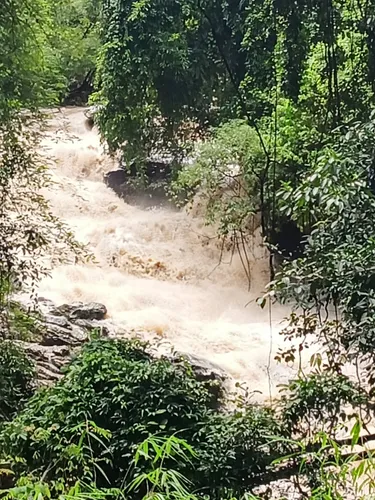 Best Hikes and Trails in Mae Wang National Park | AllTrails