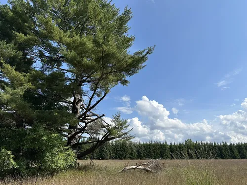 Best Hikes and Trails in Waldron Fen Nature Preserve | AllTrails