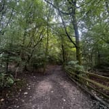 Anglezarke Reservoir, Lancashire, England - 480 Reviews, Map | AllTrails