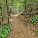 Arbutus Park and Raven Rookery Trail Loop , Massachusetts - 623 Reviews ...
