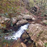 Gee Creek Falls Trail, Tennessee - 737 Reviews, Map | AllTrails