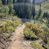 String Lake Trail, Wyoming - 1,955 Reviews, Map | AllTrails