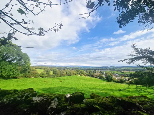 2023 Best 10 Forest Trails in Arnside and Silverdale Area of ...