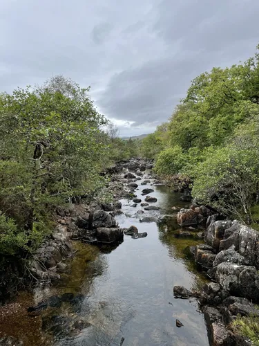 Best Hikes and Trails in Ariundle Oakwood National Nature Reserve ...