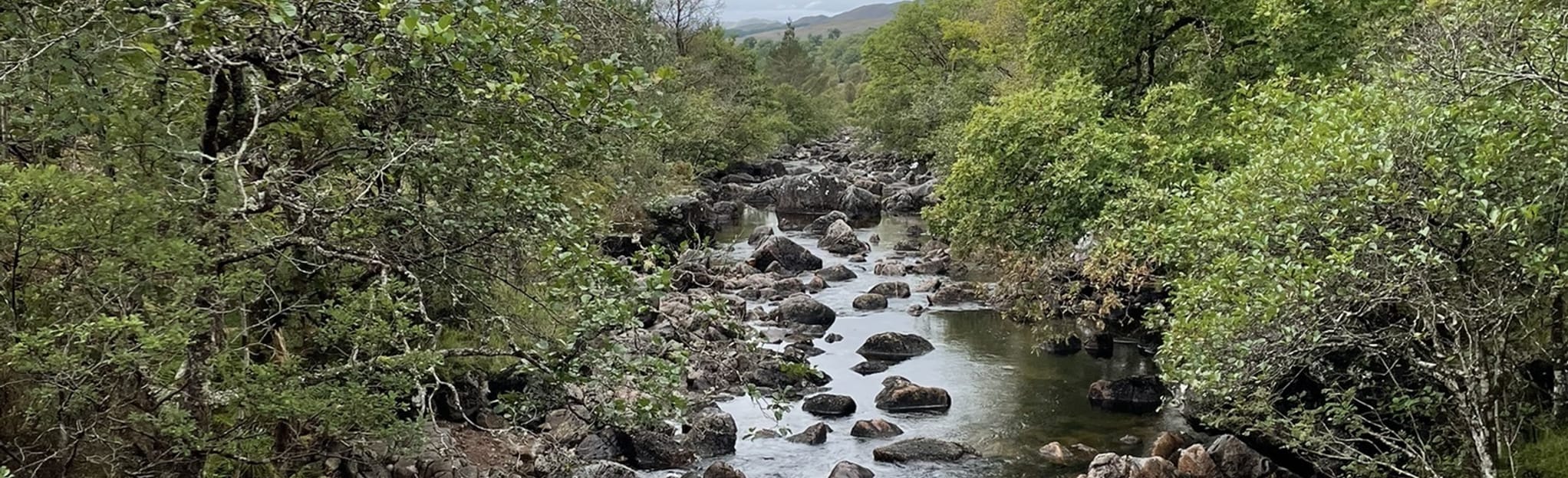 Ariundle Trail , Highlands, Scotland - 41 Reviews, Map | AllTrails