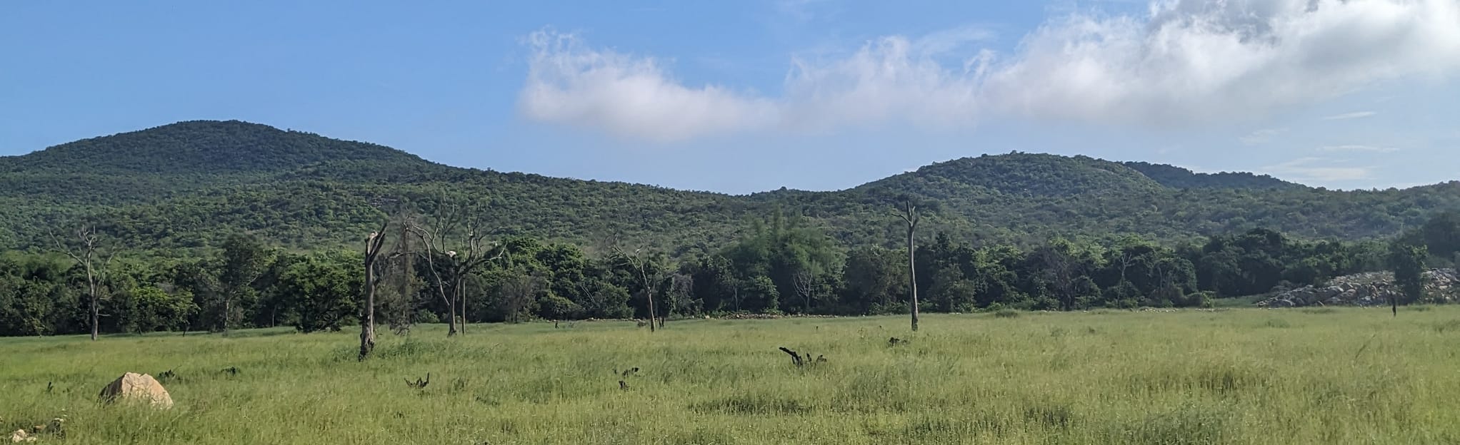 Tada Falls, Andhra Pradesh, India - Map, Guide | AllTrails