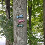 Colyer Lake Loop, Pennsylvania - 732 Reviews, Map | AllTrails