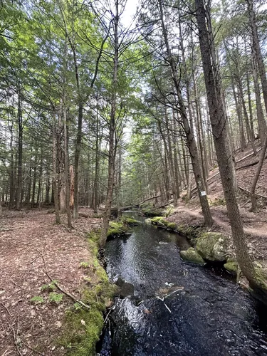 Best 10 Hikes and Trails in Bear Brook State Park | AllTrails