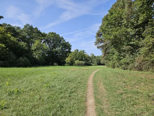 Best Camping Trails in Hermance | AllTrails