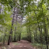 Pinhey Forest 31 Trail, Ontario, Canada - 616 Reviews, Map | AllTrails