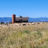 Daniels Park Trail, Colorado - 448 Reviews, Map | AllTrails