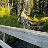Umbrella and Sahale Falls Loop, Oregon - 1,782 Reviews, Map | AllTrails