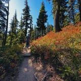 Umbrella and Sahale Falls Loop, Oregon - 1,782 Reviews, Map | AllTrails