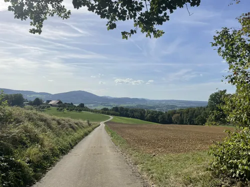 10 Best Trails and Hikes in Basel-Country | AllTrails