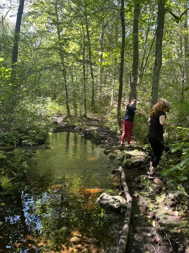 Best Hikes and Trails in Wrentham State Forest | AllTrails