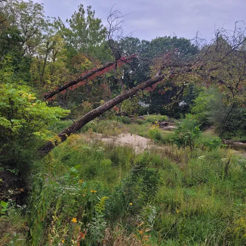 Best Hikes and Trails in Marott Park and Nature Preserve | AllTrails