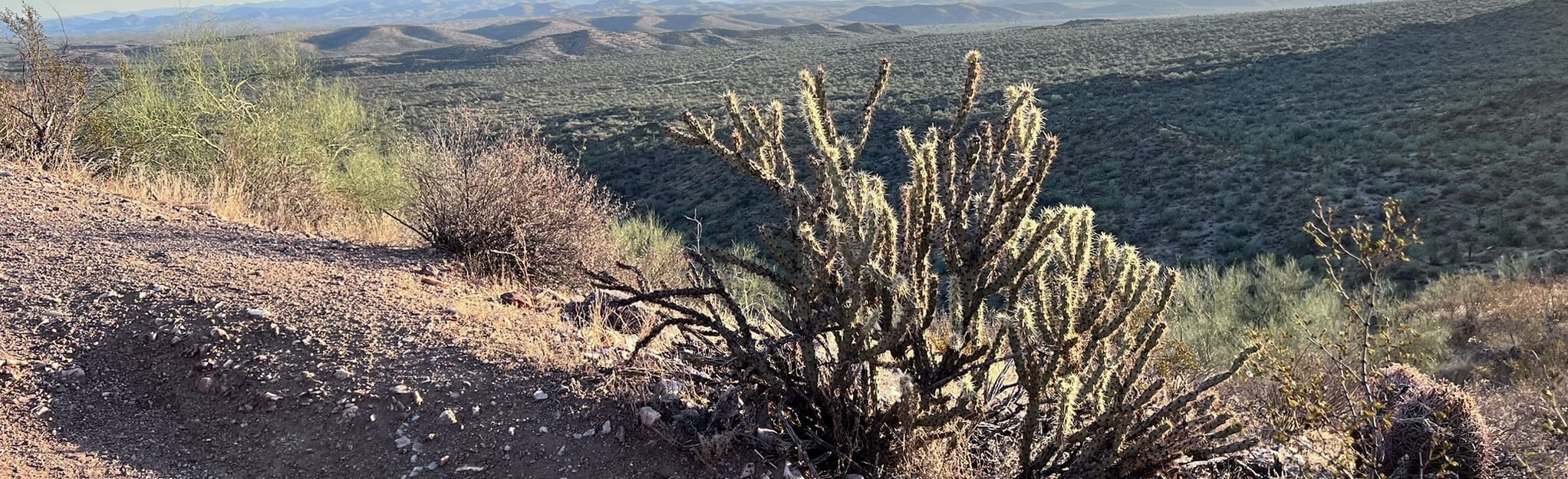 Hawes Trail Loop via Fence Line Trail, Arizona - 180 Reviews, Map ...