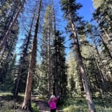 Raspberry Mountain Trail via Ring the Peak Trail, Colorado - 1,750 ...