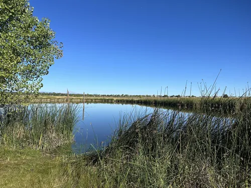 10 Best Trails and Hikes in Broomfield | AllTrails