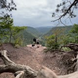 Tioga West Rim Trail, Pennsylvania - 551 Reviews, Map | AllTrails
