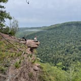 Tioga West Rim Trail, Pennsylvania - 551 Reviews, Map | AllTrails