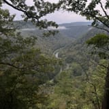 Tioga West Rim Trail, Pennsylvania - 551 Reviews, Map | AllTrails