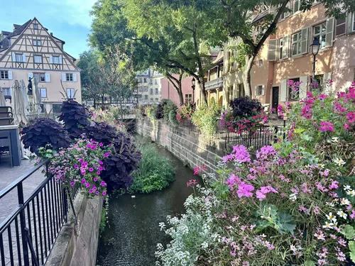 Best Hikes and Trails in Colmar | AllTrails