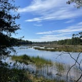 Batsto Lake Trail, New Jersey - 1,479 Reviews, Map | AllTrails