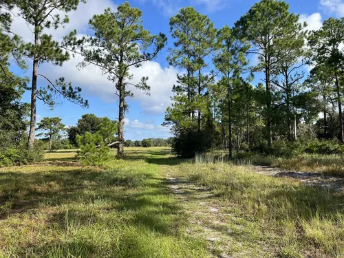 Best Hikes and Trails in Split Oak Forest Wildlife And Environmental ...