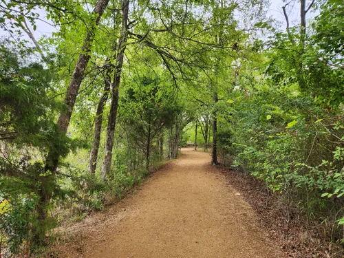 Elmer W. Oliver Nature Park: de beste routes om te wandelen | AllTrails