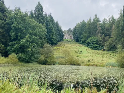 10 Best Trails, Walks, and Paths in Newcastle upon Tyne | AllTrails